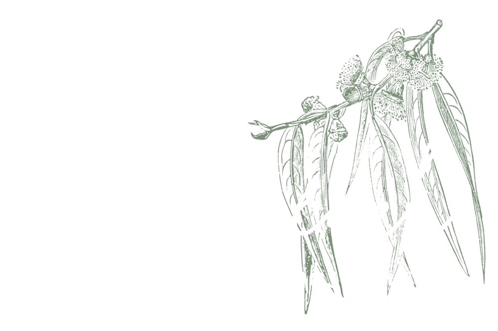 Home - Eaglereach